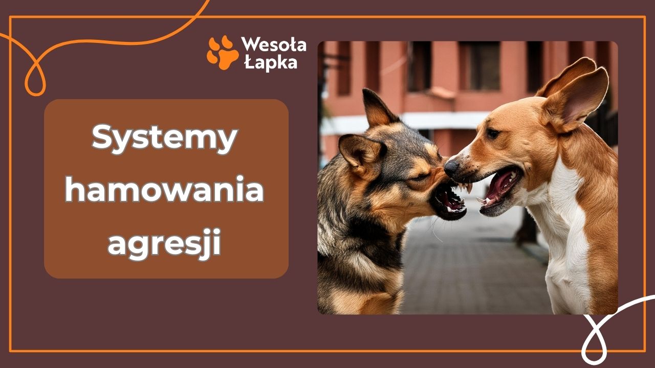 Systemy hamowania agresji - Klub Przyjaciół Psów